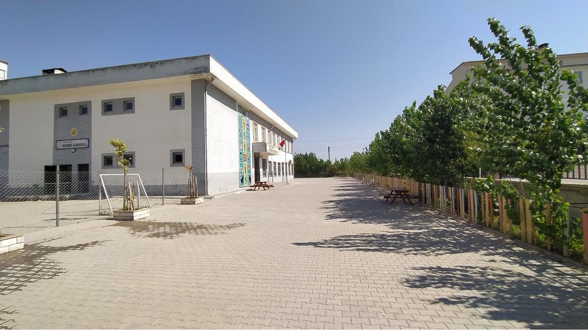 Nisibis İlkokulu MARDİN NUSAYBİN Hakkında